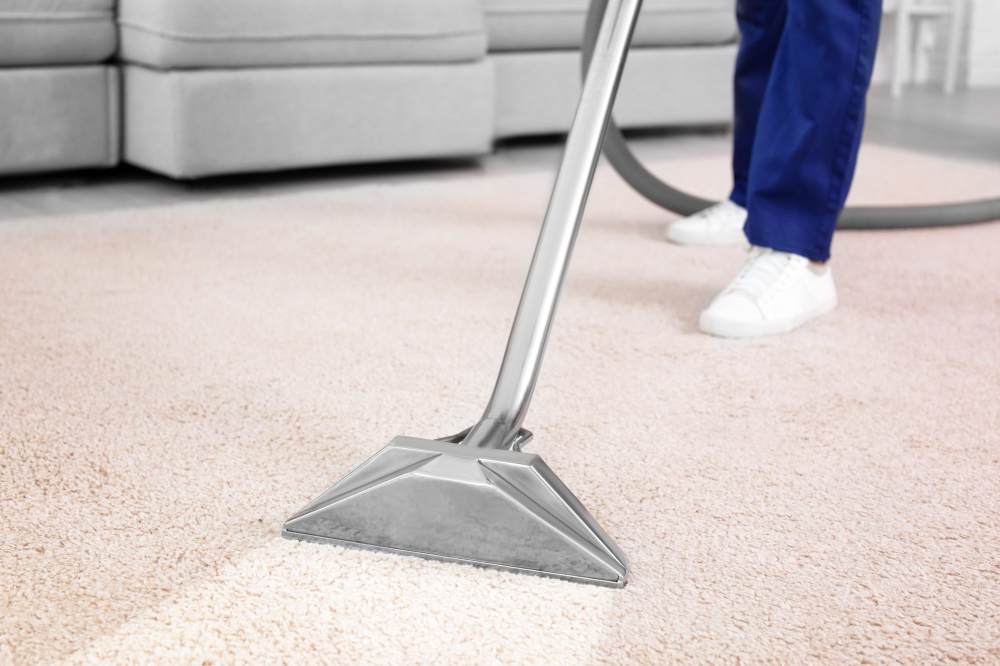 How Professional Carpet Cleaning Extends the Life of Your Carpet ...